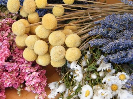 Dried flowers, dried lavender, bunches, petal confetti: Daisyshop