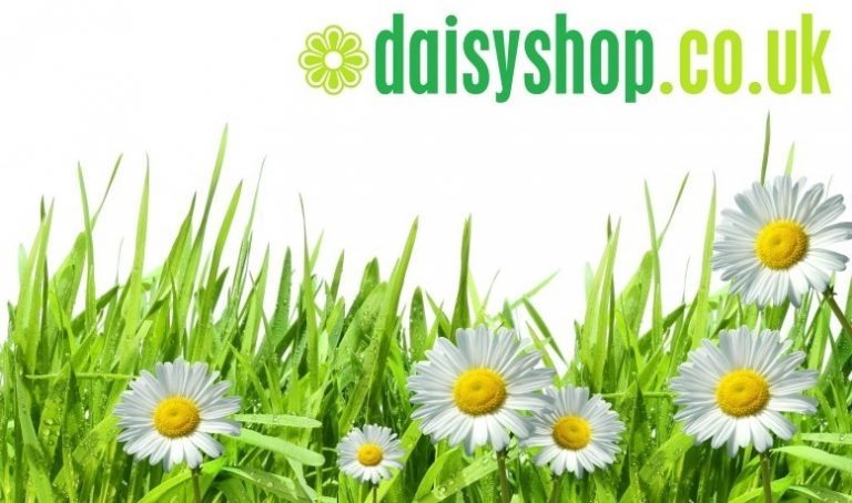 Dried flowers, dried lavender, bunches, petal confetti: Daisyshop